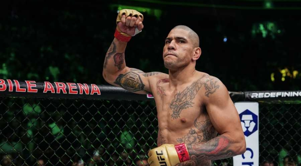 UFC 313: Pereira vs Ankalaev Betting Handles & Trends | Odds Shark