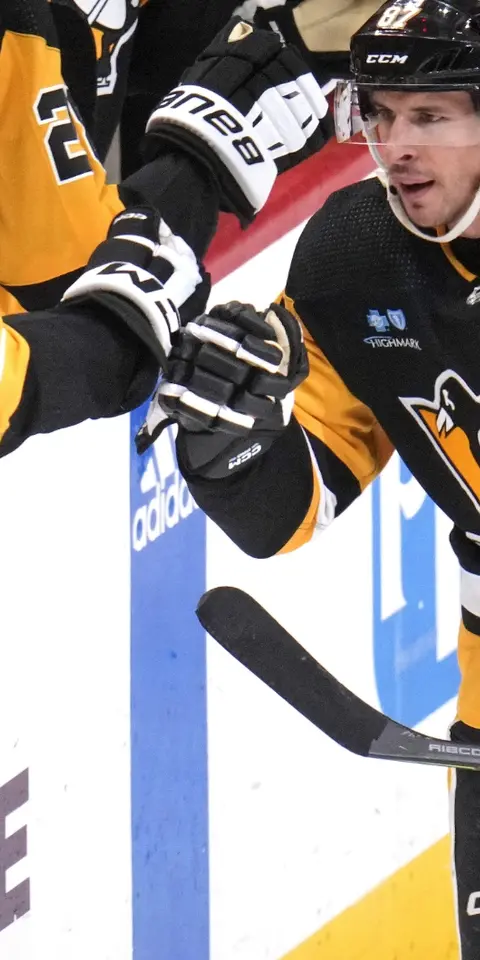 NHL Playoff Picture | Odds Shark