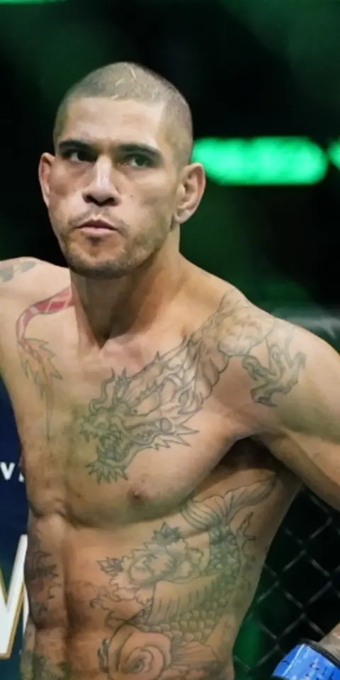 Pereira vs Ankalaev, Odds, Betting, Picks: UFC 313 | Odds Shark